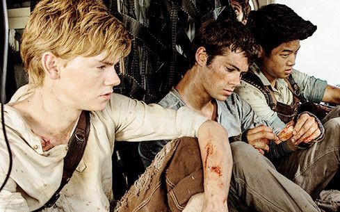 Maze Runner Boyfriend - Quiz | Quotev