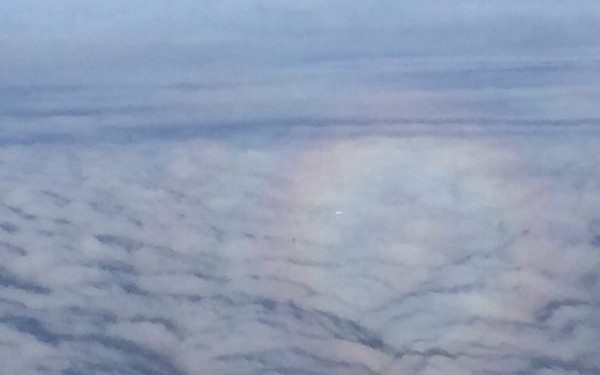 OC Personality Quiz - Quiz | Quotev