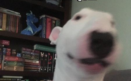 Which staring at the screen meme are you? - Quiz | Quotev