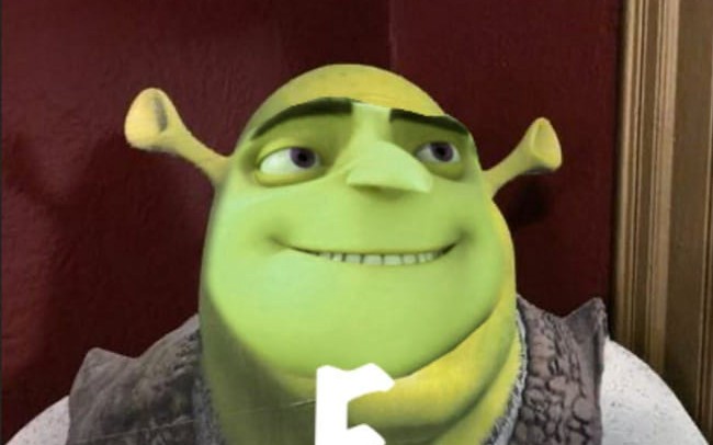 Who said it? Shrek or Gru? - Test | Quotev