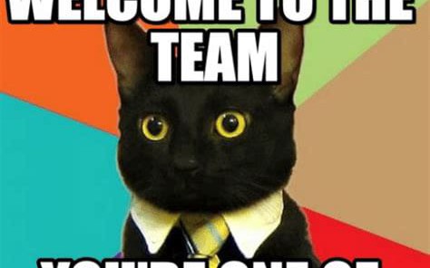 Are you fit to be in team MEOW? - Quiz | Quotev