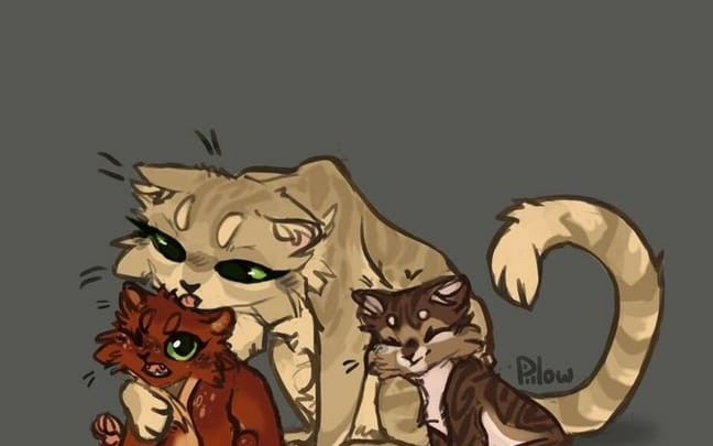 Warrior Cats Quiz! - Test | Quotev