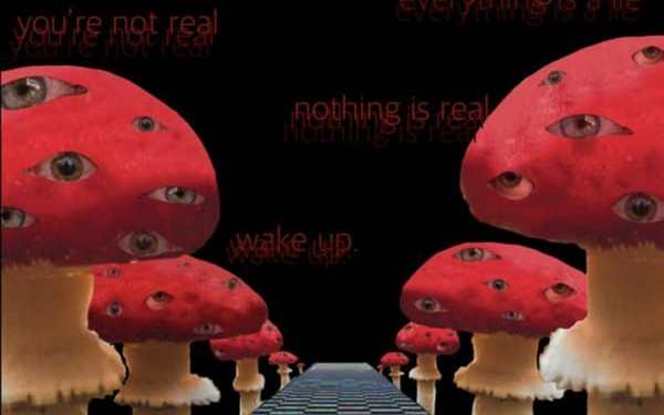 Would you survive in the weirdcore reality? - Quiz | Quotev