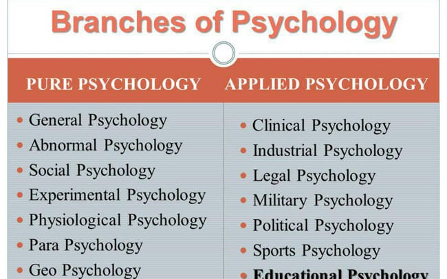 Psychology Branches - Test | Quotev