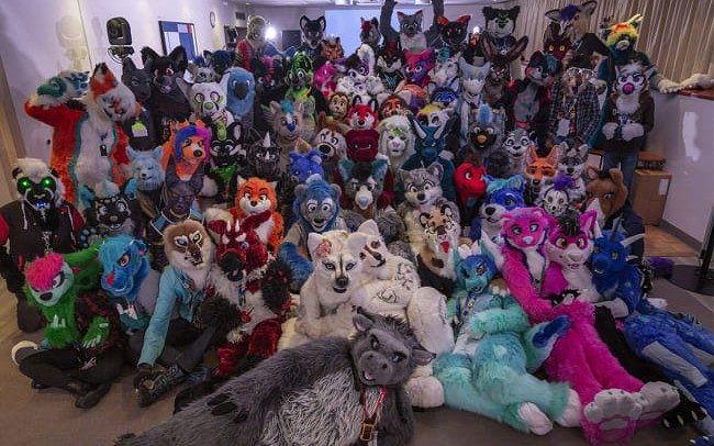 Whats your fursona species? (50+ species) - Quiz | Quotev