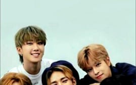 SKZ Quiz - Test | Quotev